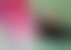 Spearmint Flavored Chewable Birth Control Pills: