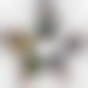 20 Puppet-Inspired Discoveries