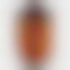 Diaper Vest: For Dad's Who Want to Be Cool