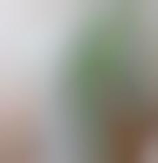 Spray on Fabric: Couture in a Can