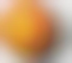 Sunrise Wall Mounted Toaster: