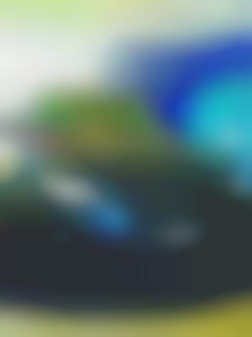 100 Ridiculously Expensive Items