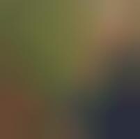 17 Unusual Parenting Styles