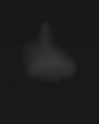 Scanned Insects as Art: 8 Ft Monochromatic Bugs