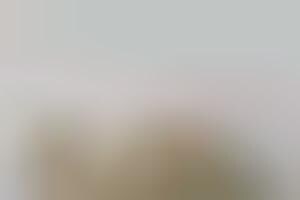 Bionic Hand Transplants: The Otto Bock 'MichelAngelo'