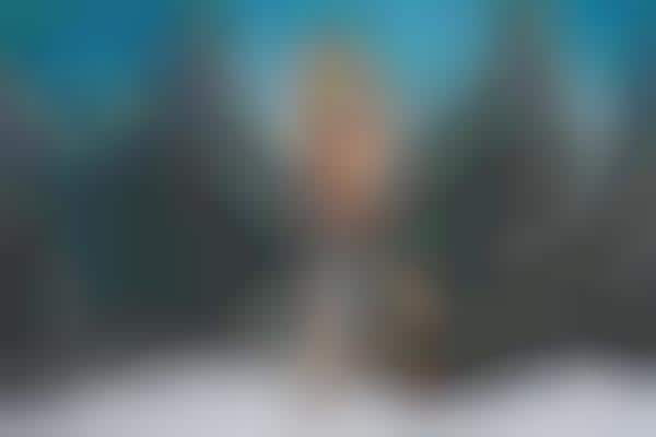 Snowy Lingerie Lookbooks : Holiday Lingerie