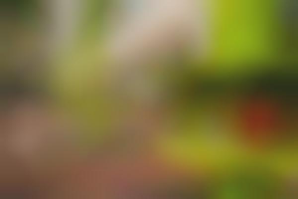 Pillar-Themed Libraries : Outdoor Library