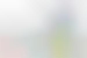 Shapeshifting Camera Design : Flex Cam PIC