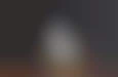 Animal-Shaped Tea Tags : tea time with animals