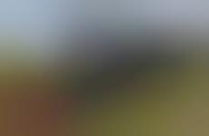 Tractor Trailer Concepts