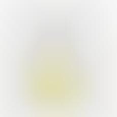 Botanical Paper Diffusers : paper diffuser