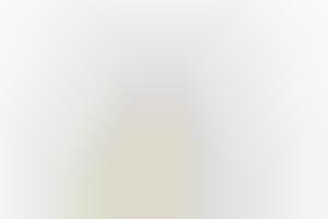 Botanical Paper Diffusers : paper diffuser