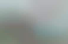 Edible Snow Globe Tutorials : snow globe cake