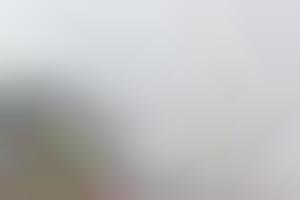 Sunlight-Reflecting Lamps : lamp replacement