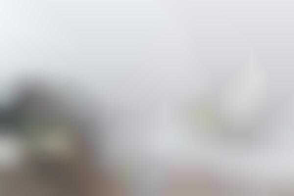 Sunlight-Reflecting Lamps : lamp replacement