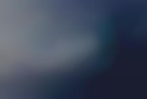 Plant-Based Seafood Products : sustainable shrimp