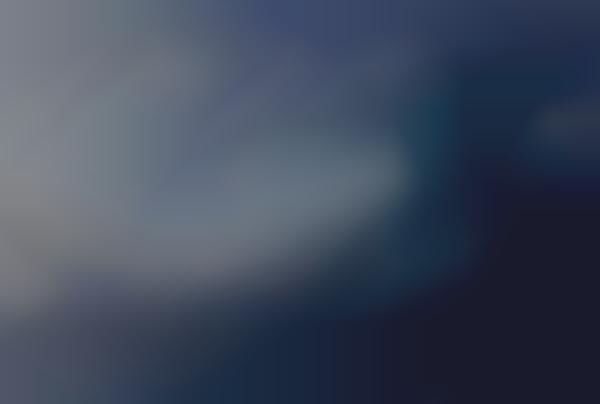 Plant-Based Seafood Products : sustainable shrimp