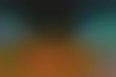 Timber-Clad Coffee Shops : Connel Coffee