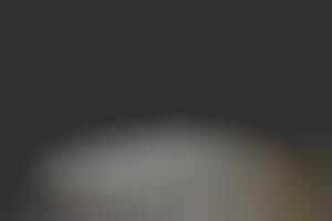 Shifting Storage Beds : italian bed