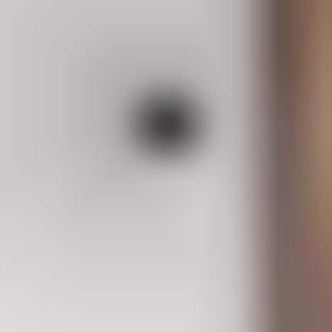 Discreet Home Security Cameras : LG Smart Security