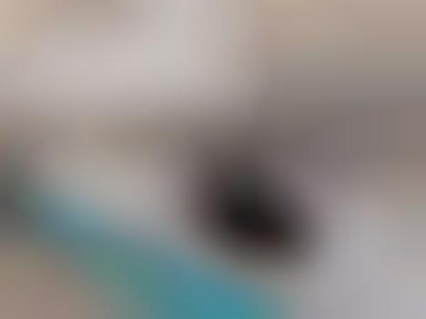 Box Spring Pet Beds : dog bed design