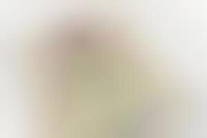 Artisan Coconut Cheese : coconut cheese