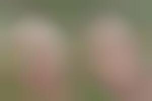 Boomer Makeup Tutorials : Boomer Makeup