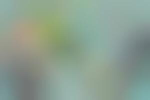 Ultra-Discreet Hygiene Packaging : Hygiene Packaging