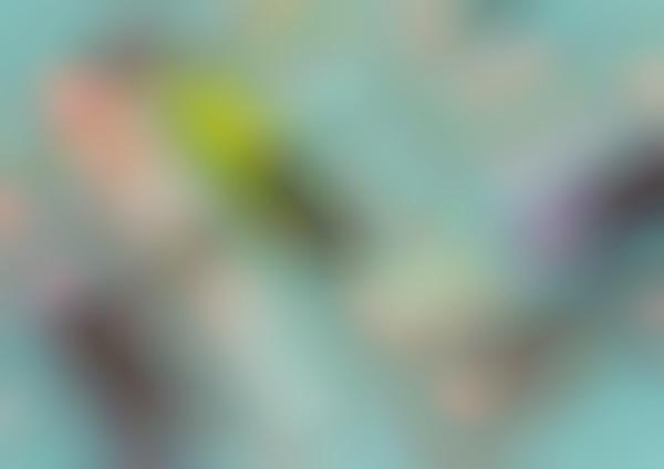 Ultra-Discreet Hygiene Packaging : Hygiene Packaging