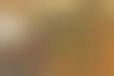 Branded Vintage Boutiques : loopwheeler