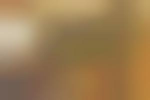 Branded Vintage Boutiques : loopwheeler