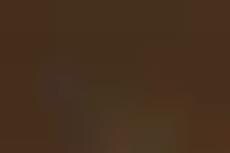 Timber-Clad Bakery Ceilings : Beijing Bakery