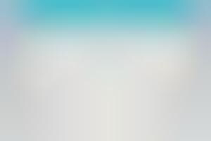 Regional Operating Systems : Indus OS