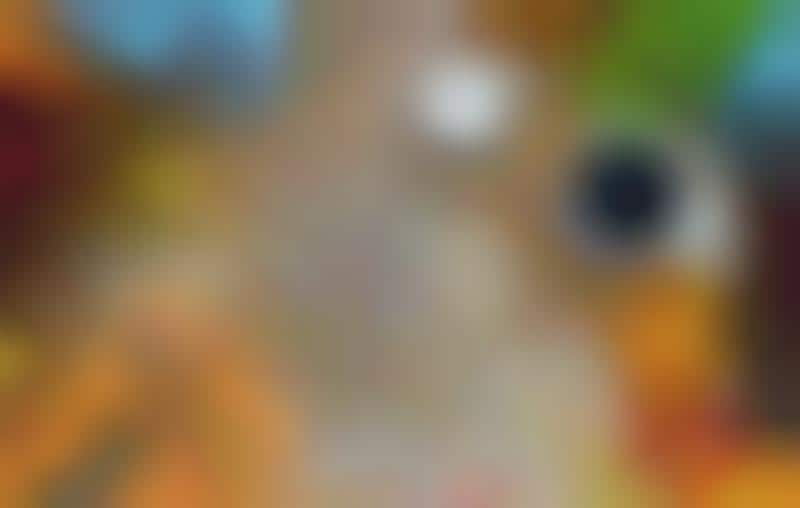 40 Food Customization Innovations