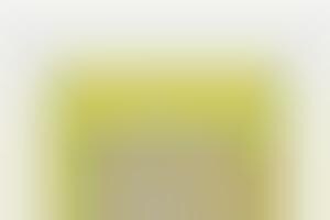 Pre-Sliced Frozen Avocados : frozen avocados