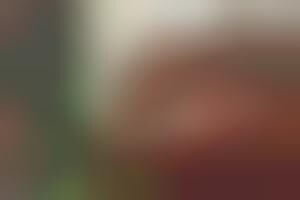 Diverse Model-Made Dolls : mala bryan