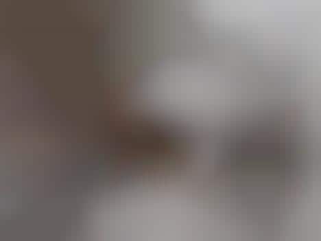 Contemporary Concrete Cottages : Concrete Cottage