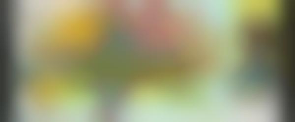 Creature-Capturing Games : interactive game