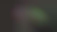 VR Motion-Tracking Devices : hand tracking