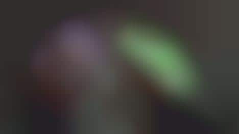 VR Motion-Tracking Devices : hand tracking