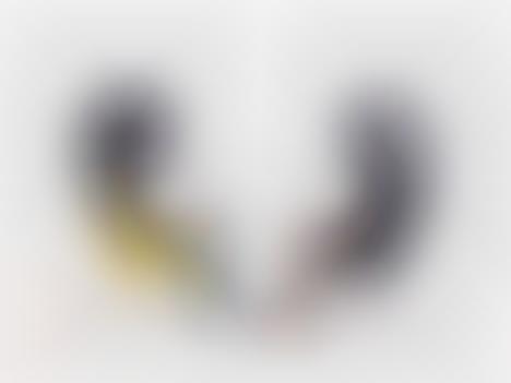 Privacy-Focused Office Cocoons : Tomoko