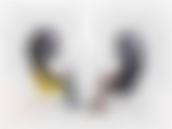 Privacy-Focused Office Cocoons : Tomoko