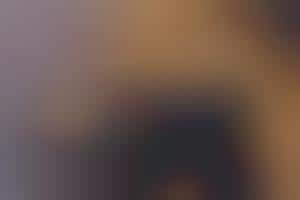 Intentionally Uncomfortable Underwear: Torture Bras for Modern Masochists