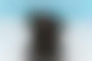 Tracking Devices for Pets: Retrieva Anti-Theft Dog Collar is a Labrador ...
