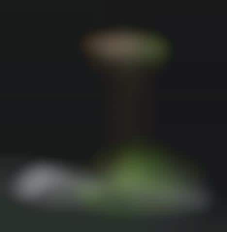 Reshaping Nature: Square Tree Trunks for Modern Efficiency