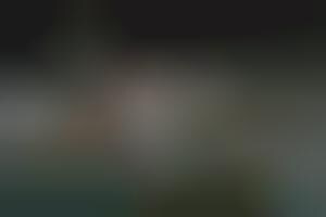 Real Girls in Miniature Villages: 'Teenage Stories' by Julia Fullerton ...