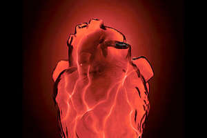 Anatomy Inspired Lighting: The Mini Heart Electric Lamp Is Bloody ...