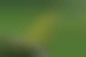 Modular Public Seating: The Campus Bench Encourages Socializing