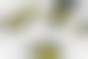 Retractable Speed Bumps: Innovative Design Flattens for Slow Drivers