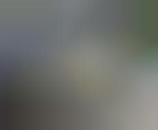 Alternative Homeless Shelters: The EDAR Project Provides Mini Mobile Units